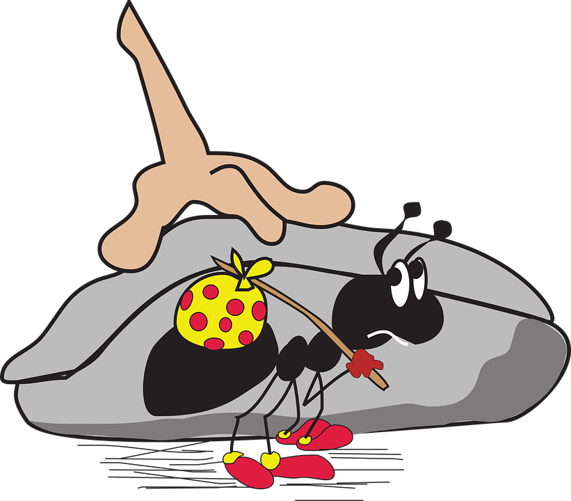 Kolozsvari Szalonna es Hir-Telen Beszolunk